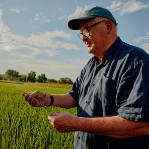 Rice-obsessed since 1937 | Lundberg Family Farms