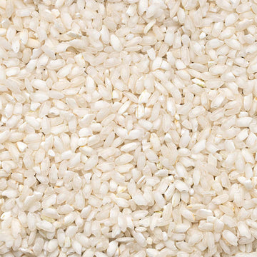 Rice & Quinoa – Page 2 – Lundberg Family Farms