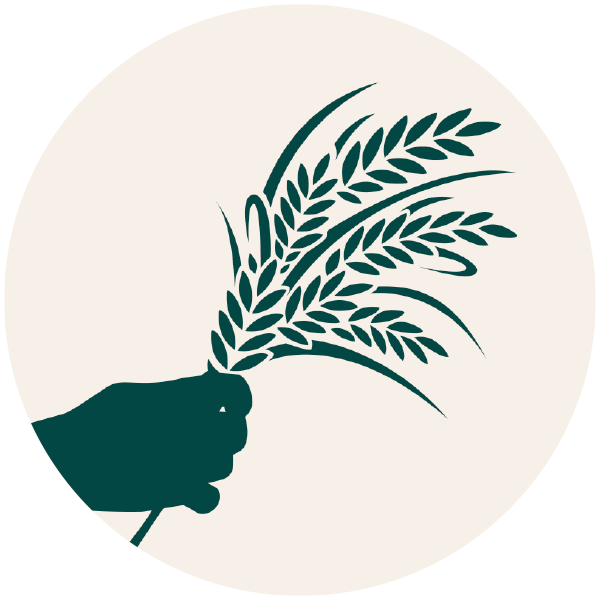 Regenerative Organic Rice – Lundberg Family Farms