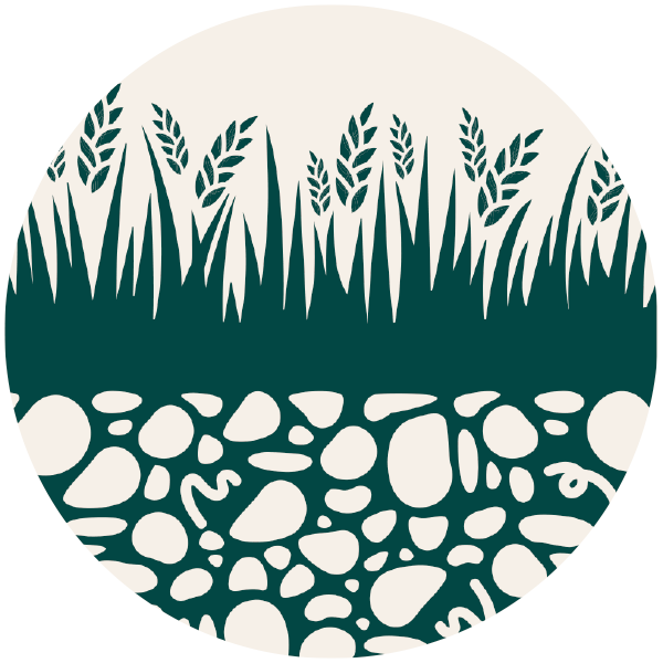 Regenerative Organic Rice – Lundberg Family Farms